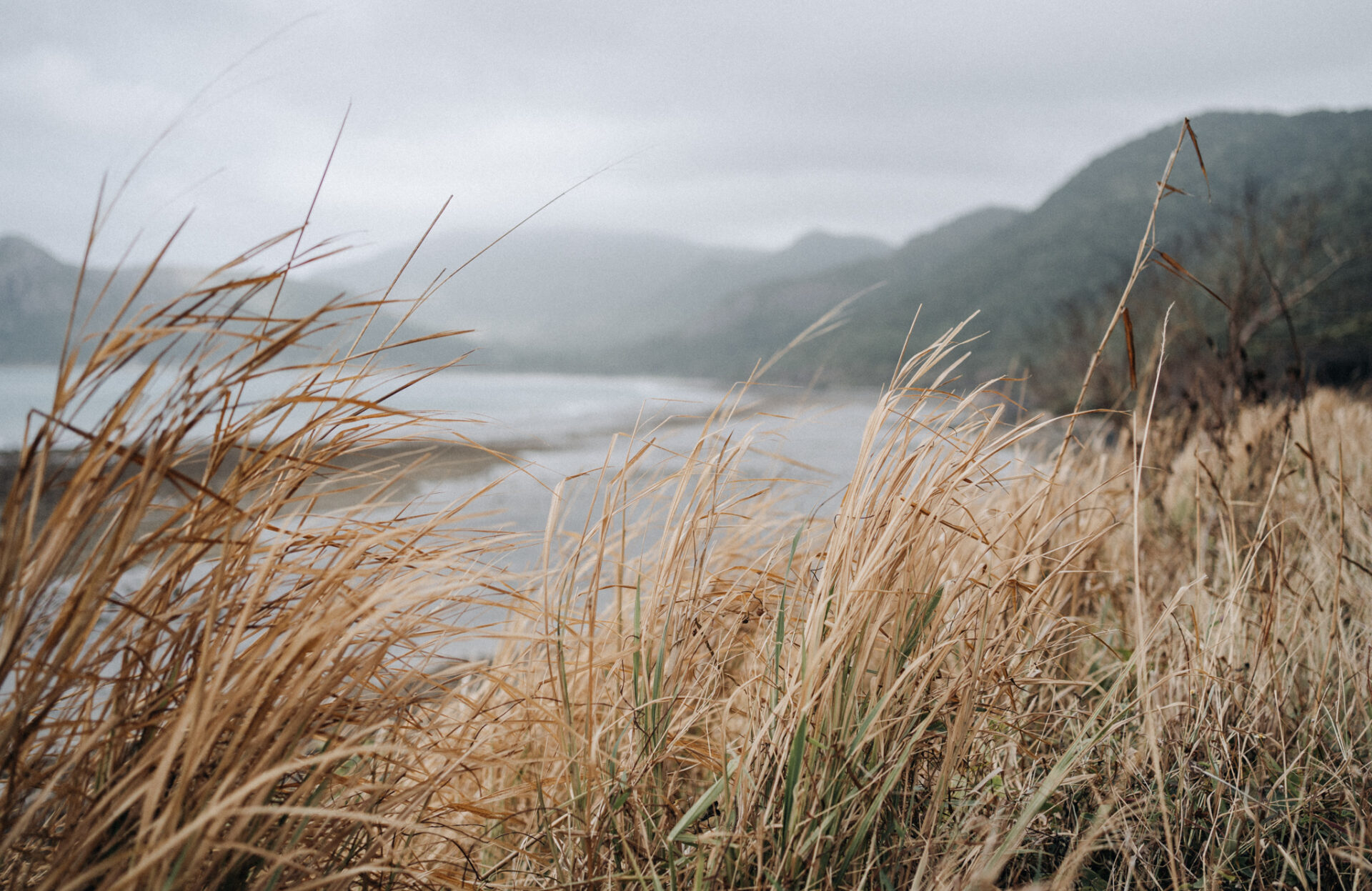 Con Dao Vietnam: Geheimtipp, mit düsterer Geschichte