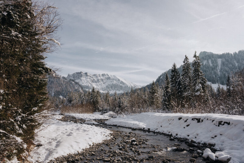 Bregenzerwald Winter: Aktivitäten & Tipps mit Hund