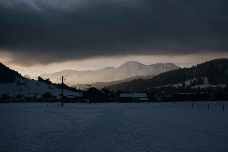 Bregenzerwald Winter: Aktivitäten & Tipps mit Hund