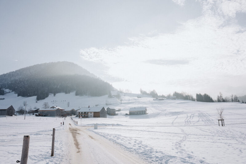 Bregenzerwald Winter: Aktivitäten & Tipps mit Hund