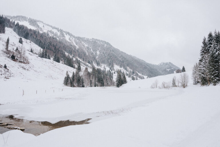 Bregenzerwald Winter: Aktivitäten & Tipps mit Hund