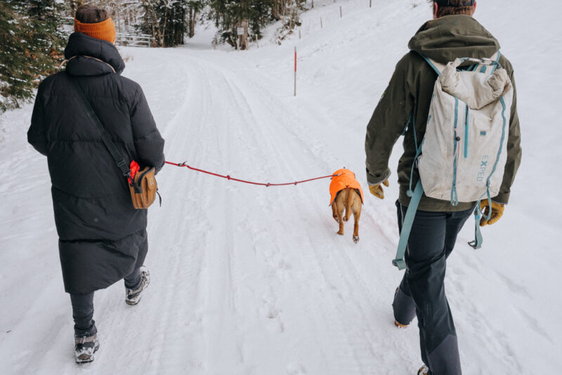 Bregenzerwald Winter: Aktivitäten & Tipps mit Hund