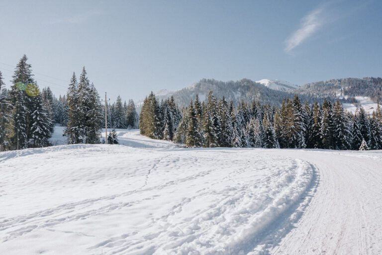 Bregenzerwald Winter: Aktivitäten & Tipps mit Hund