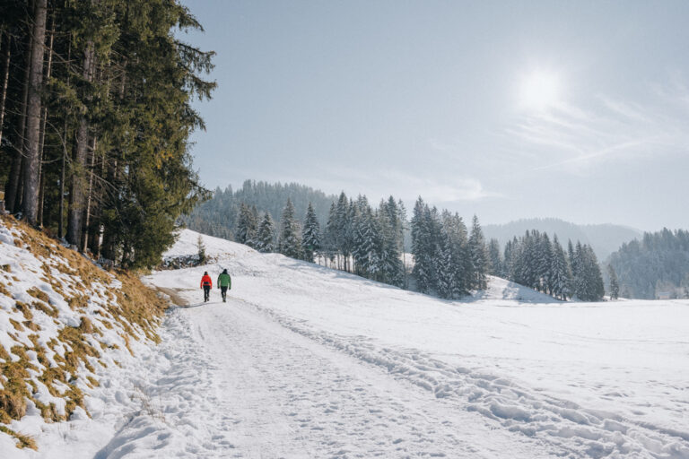 Bregenzerwald Winter: Aktivitäten & Tipps mit Hund