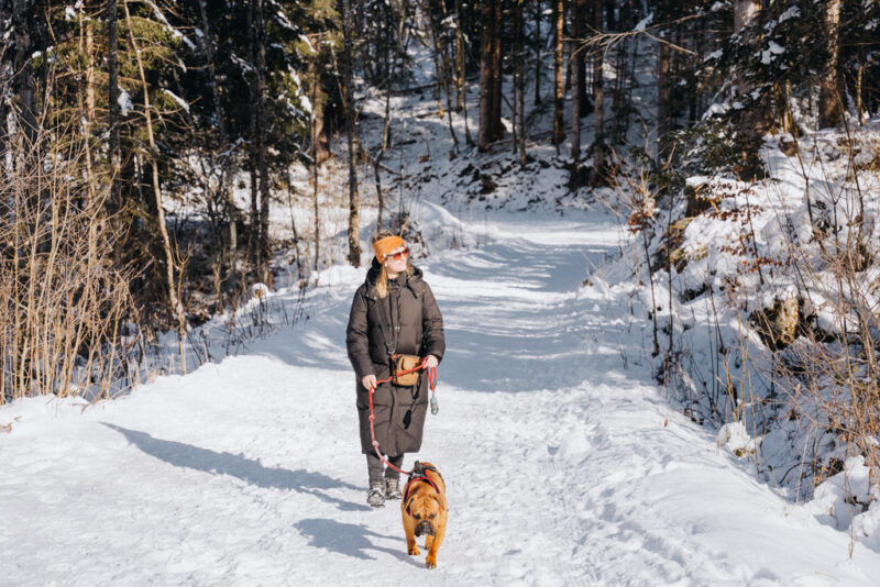 Bregenzerwald Winter: Aktivitäten & Tipps mit Hund